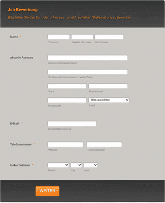 Allgemeine Stellenbewerbung Formularvorlage | Jotform