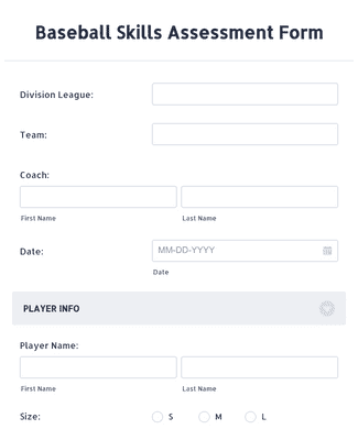Baseball Skills Assessment Form Template | JotForm