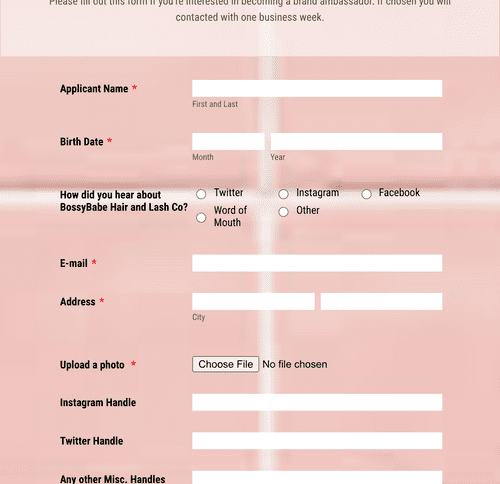 BossyBabe Hair and Lash Co Brand Ambassador Application Form Template ...
