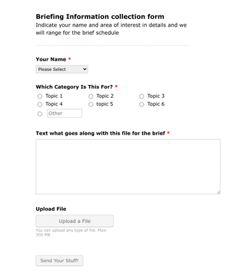 Briefing Form Template | Jotform