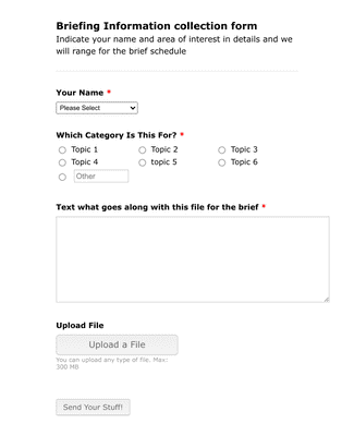 Briefing Form Template | Jotform