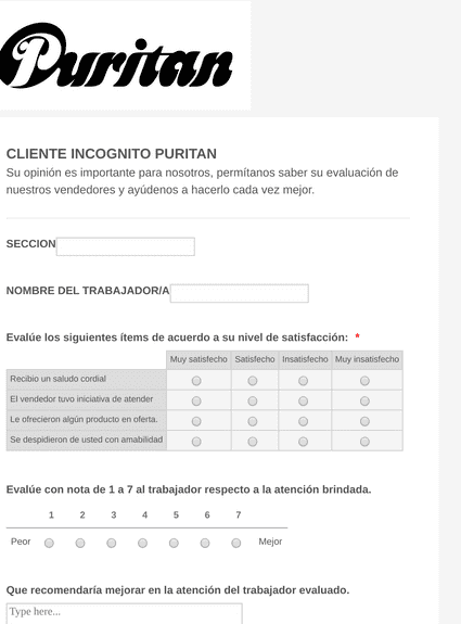 Cliente Incognito Puritan Holzapfel Noviembre 2021 Plantilla de ...