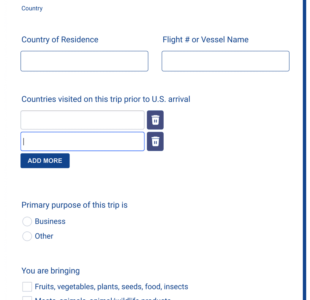 Custom Declaration Form Template | Jotform