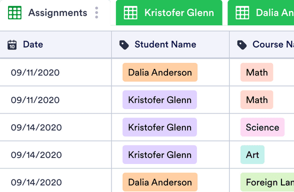 Project Checklist Assignments Template