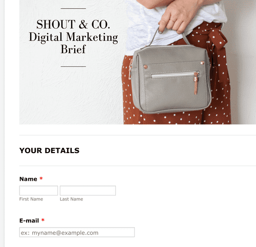 Digital Marketing Brief Form Template | Jotform