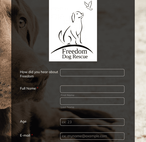Foster Application Form Template | Jotform