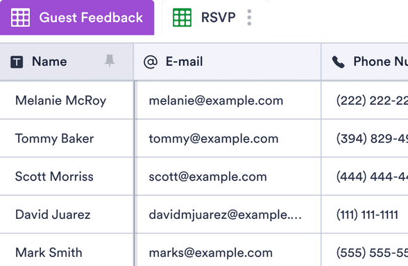 Rsvp List Template Excel