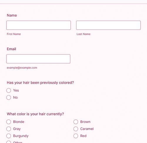 Hair Color Questionnaire Form Template | Jotform