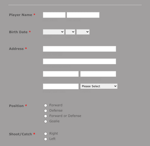Hockey Tryout Registration Form Template | Jotform