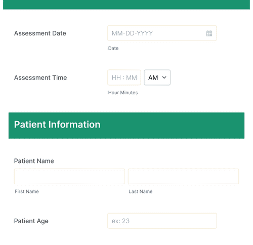 Hospice Nursing Assessment Form Template | Jotform