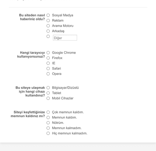 İnternet Sitesi Anket Formu - Uyumlu Form Şablonu | Jotform