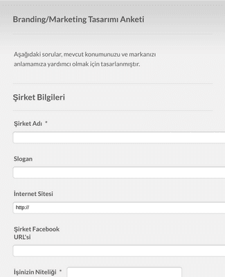 Logo Tasarımı Anketi - 2 Form Şablonu | Jotform