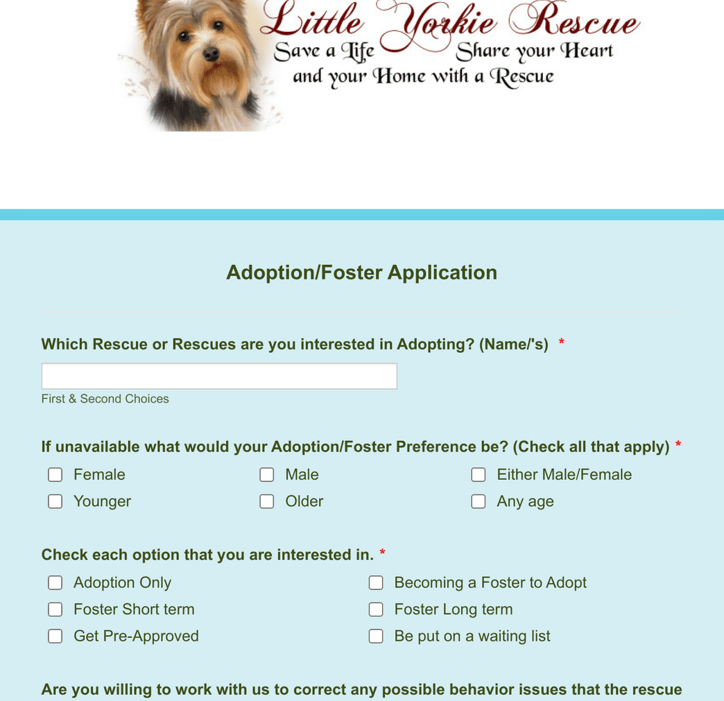 LYR Adoption/Foster Application Form Template | Jotform