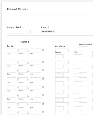Masraf Raporu Form Şablonu | Jotform