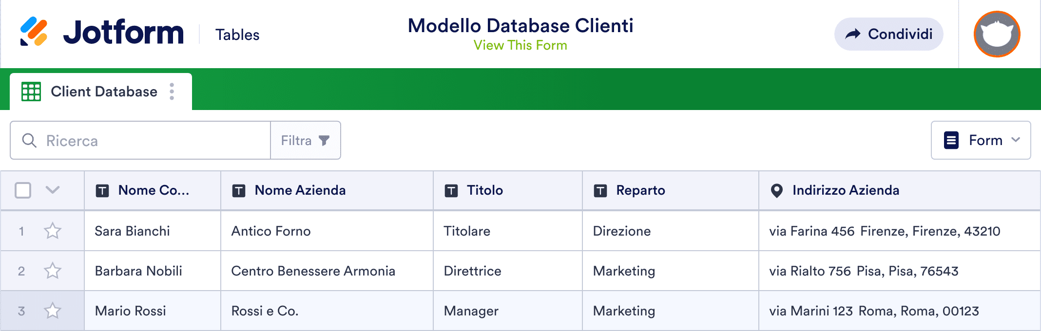 Modello Database Clienti Template | Jotform Tables