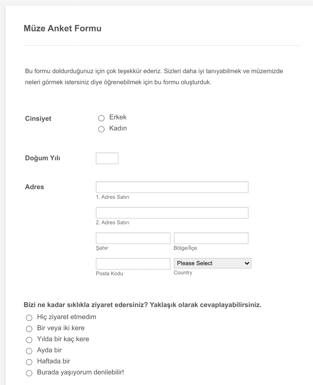 Müze Anket Form Şablonu | Jotform