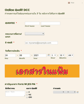 Online Audit DCC Form Template | Jotform
