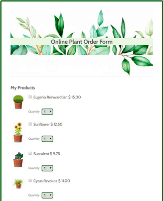 Online Order Form Template | JotForm