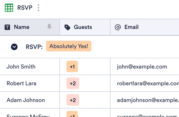 Rsvp Excel Template