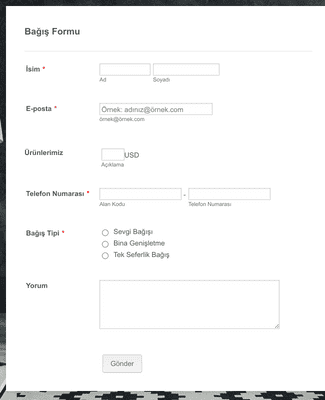 Paymentwall Online Bağış Form Şablonu | Jotform