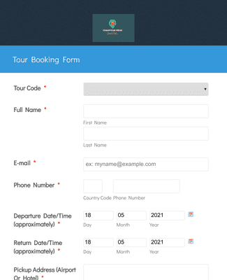 Travel Information Form Template | JotForm